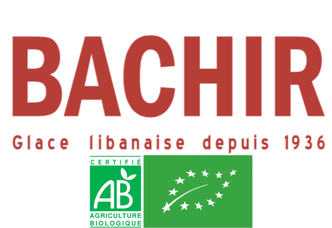 Glace BACHIR